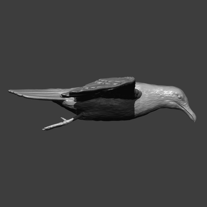 3D Printable Seagull Is Flying by Alexander3dart