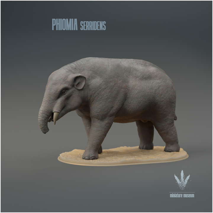 3D Printable Phiomia serridens : The Lake Elephant by Miniature Museum