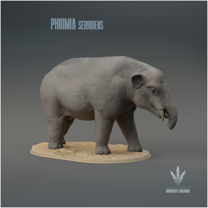 3D Printable Phiomia serridens : The Lake Elephant by Miniature Museum