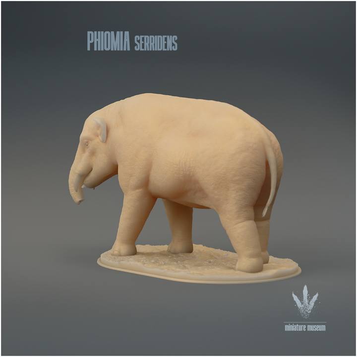 3D Printable Phiomia serridens : The Lake Elephant by Miniature Museum