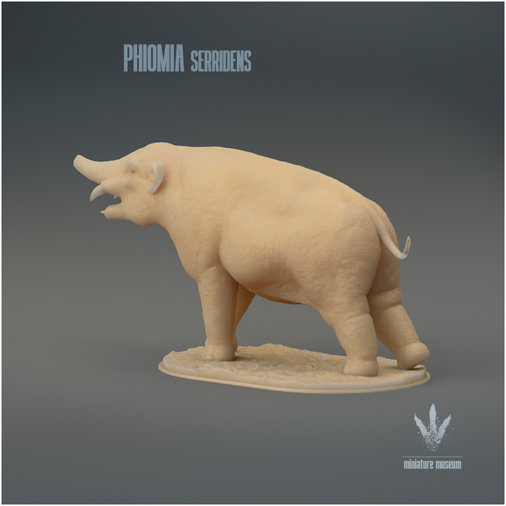 3D Printable Phiomia serridens : Display by Miniature Museum