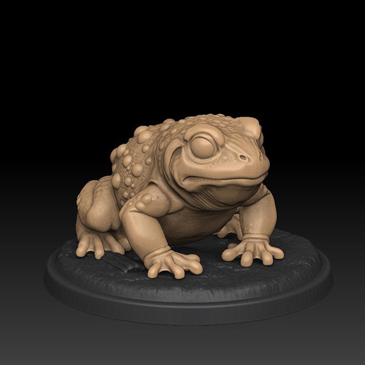 3D Printable Druid Wild Shape Vol 2 – Swamp Animal Minis by Medusa ...