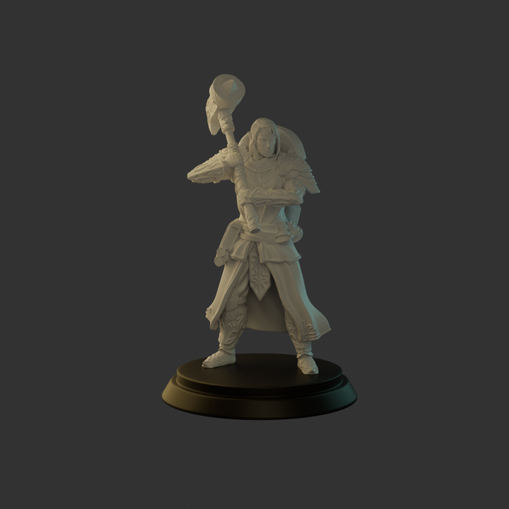 3D Printable Male Cleric Elf by Tenda Orc Studio