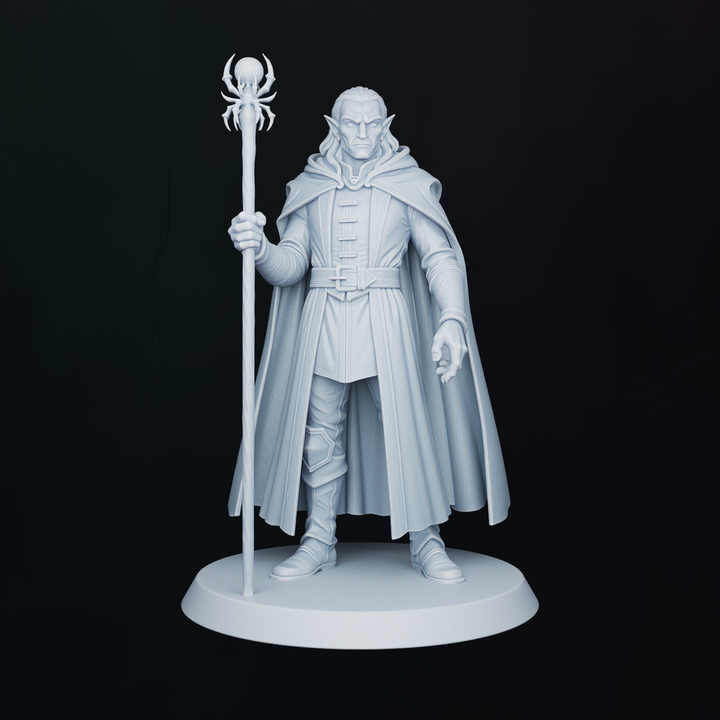 3D Printable Drow Wizard (The Black Spider) by Voidforge