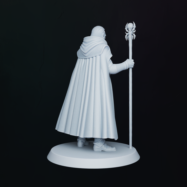 3D Printable Drow Wizard (The Black Spider) by Voidforge