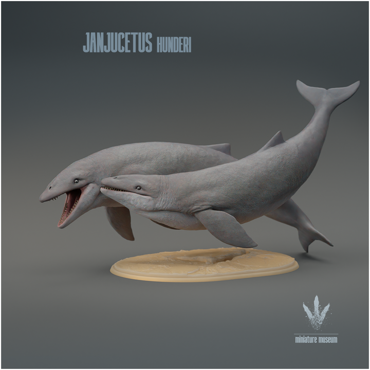 3D Printable Janjucetus hunderi : Couple by Miniature Museum